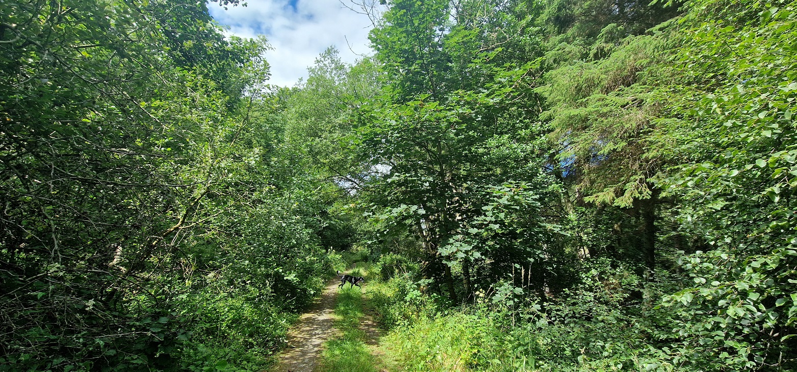 Hells Hole - Click Here - Bonchester Bridge Caravan & Camping Site
